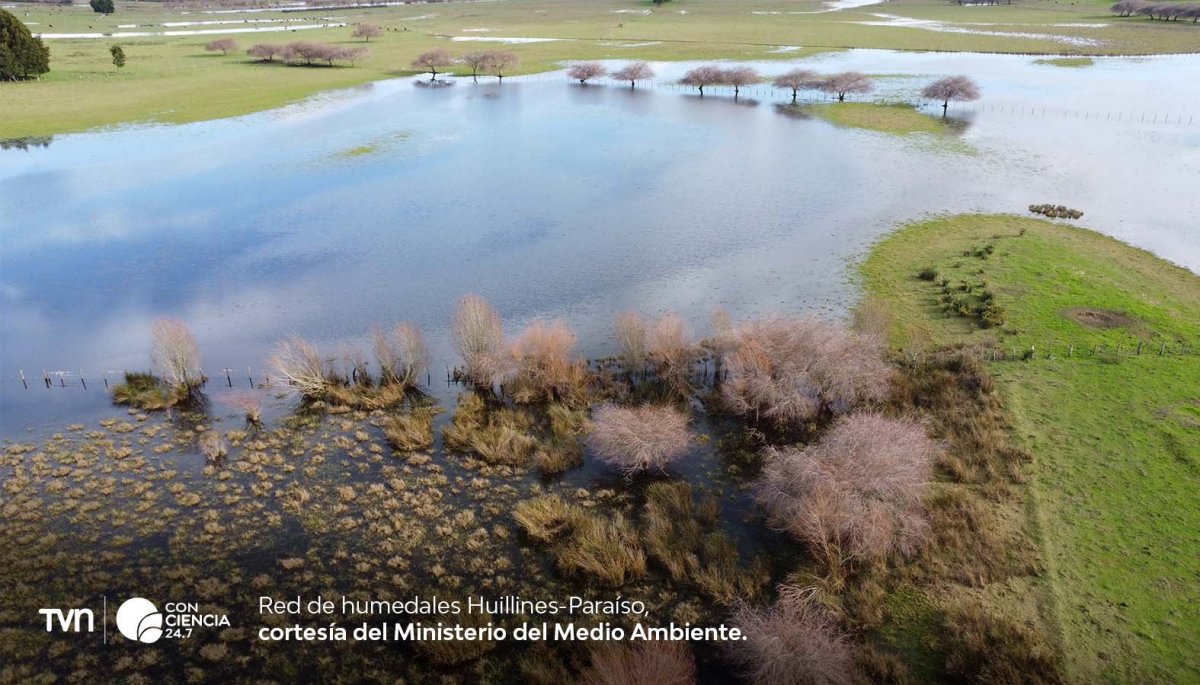 Semana de los Humedales: protección y actividades en todo Chile | 24horas