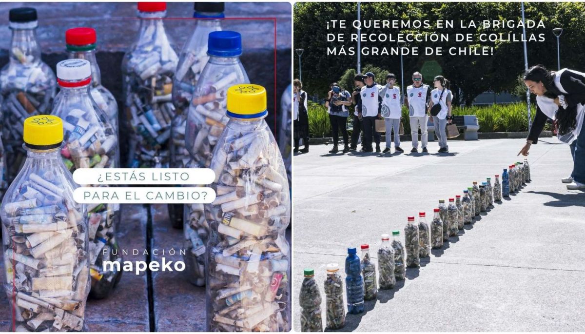 Fundación busca voluntarios para "la recolección de colillas más grande ...