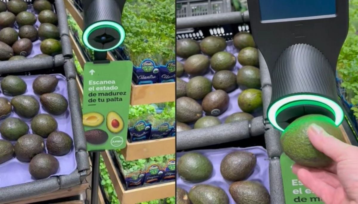 Coco bestiality i left my car where she guided me, sent her