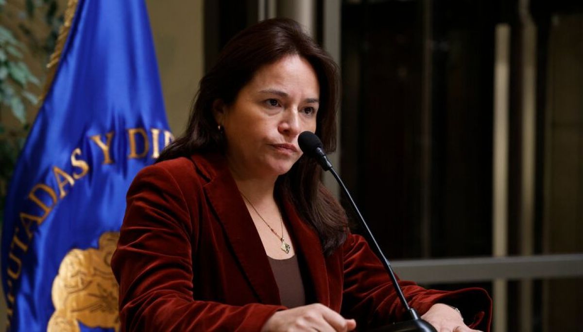 Joanna Pérez y rechazo a multas por no votar: "El Gobierno faltó a su palabra y no respeta la ...