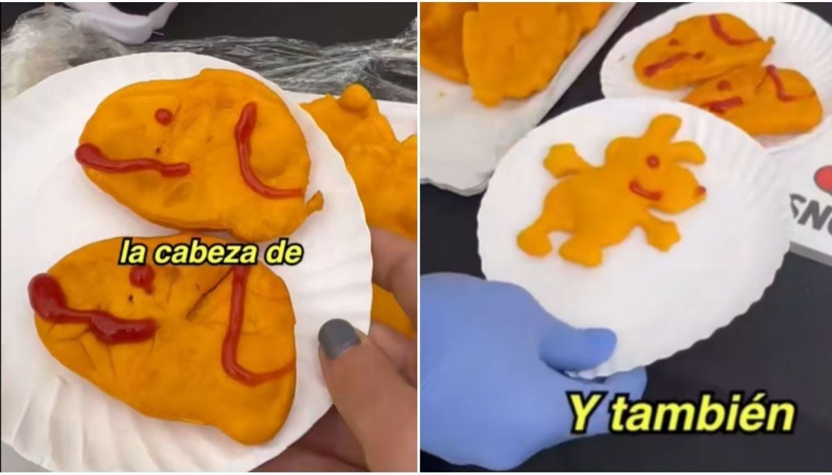 ¿Lo reconoces? "Gringo" chilenizó a popular personaje animado en una ...