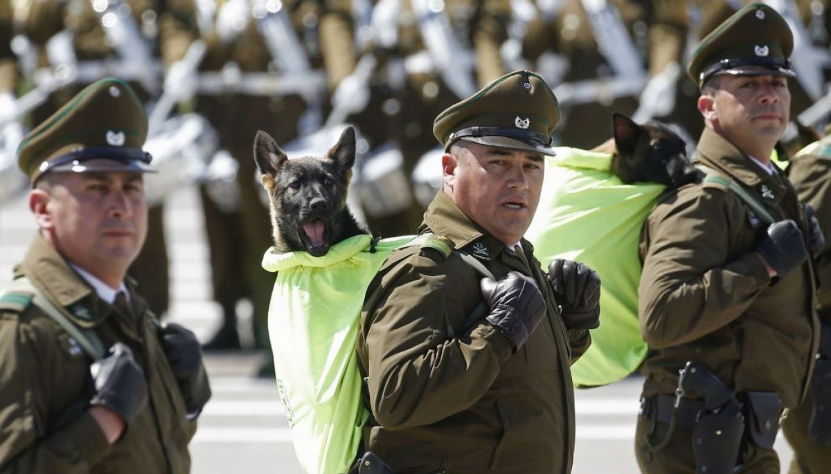 Todo listo para la gran Parada Militar 2025: conoce los detalles del ...