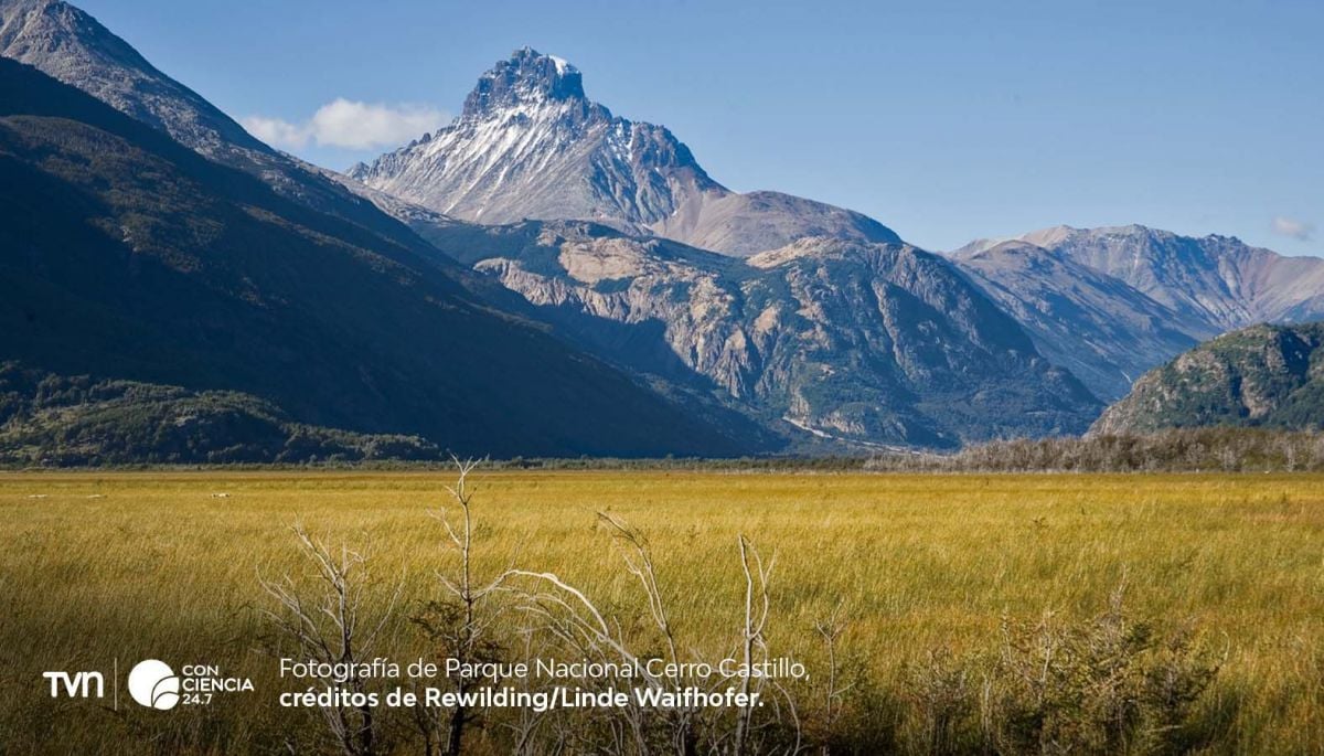 Cerro Castillo: primer parque de Chile en la Lista Verde de la UICN ...