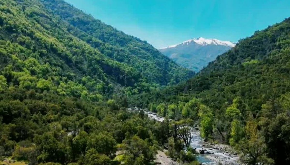 Parque Cuenca Andina: la más grande área protegida del Maule | 24horas