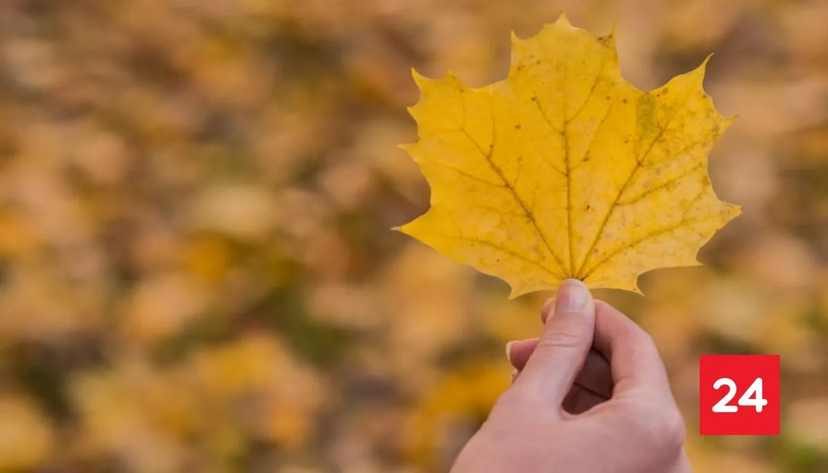 ¿A qué hora empieza el otoño en Chile este 2026? | 24horas