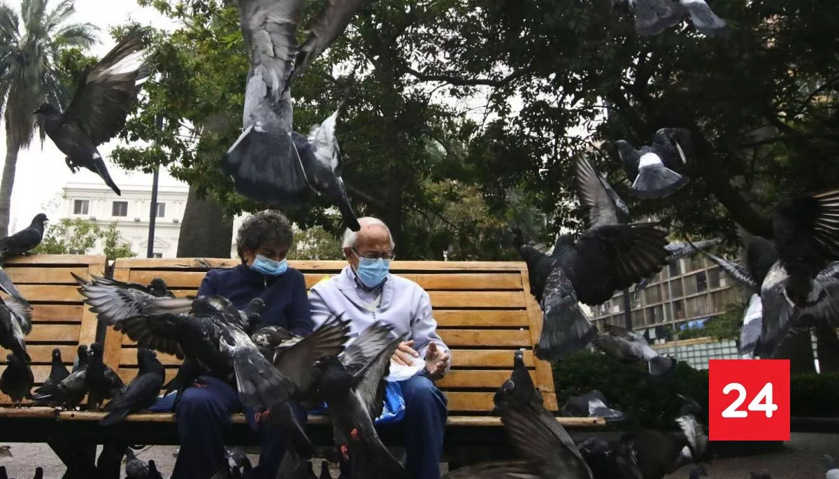 Municipalidad de Concepción multará con hasta 1 UTM a quienes alimenten ...